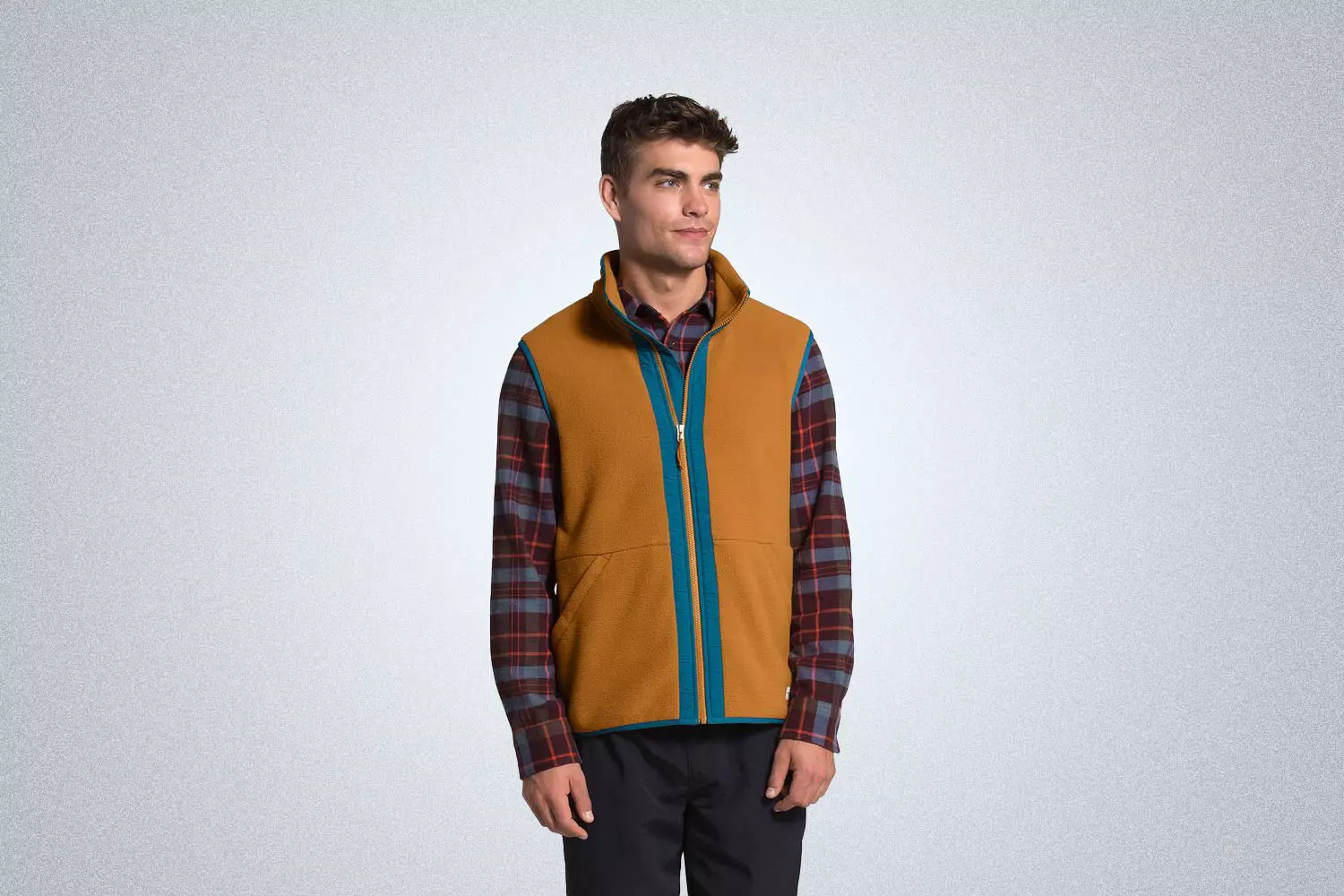 Ang North Face Carbondale Vest