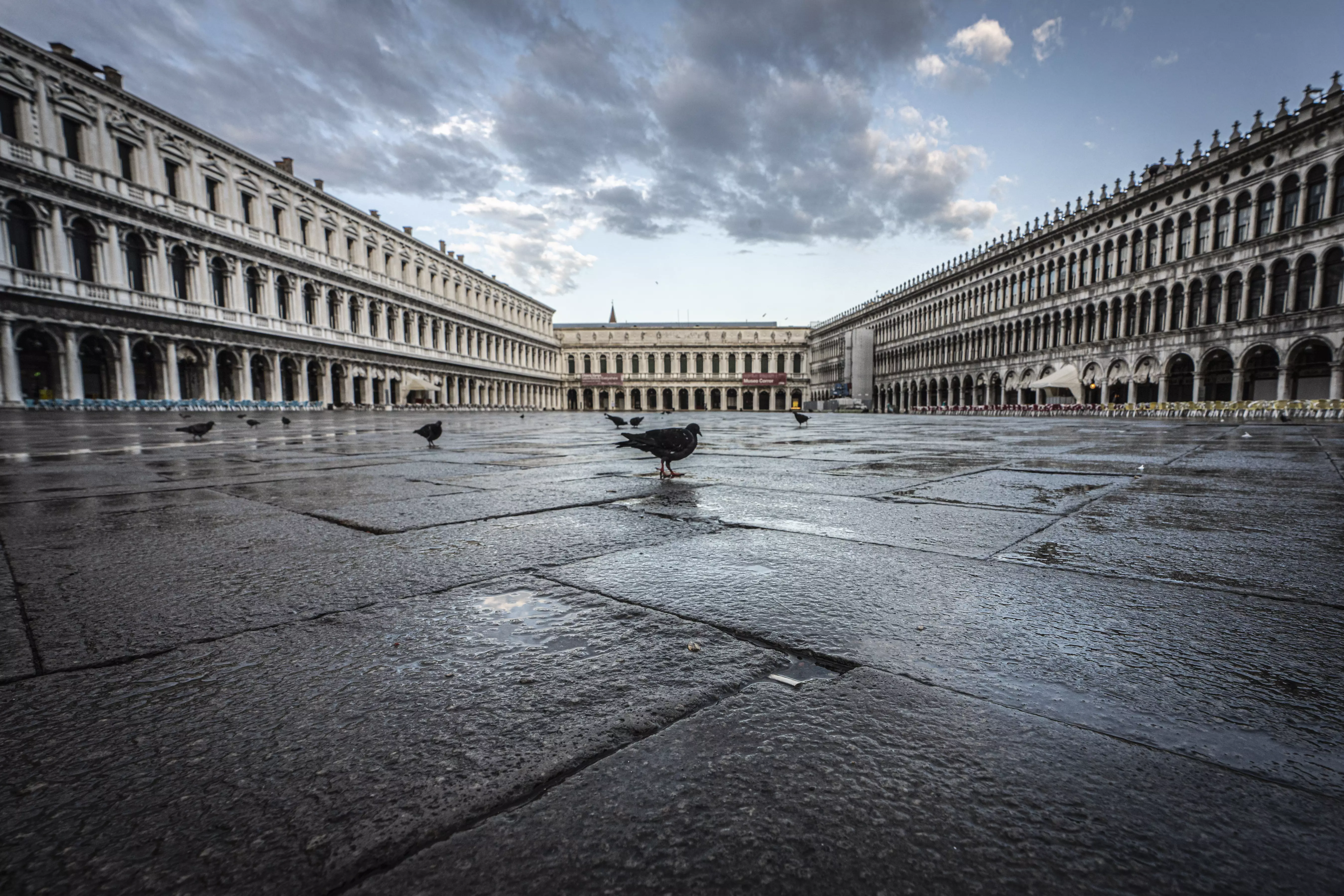 plaza san Marco venice