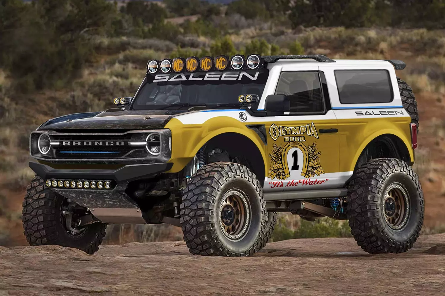 saleen bronco