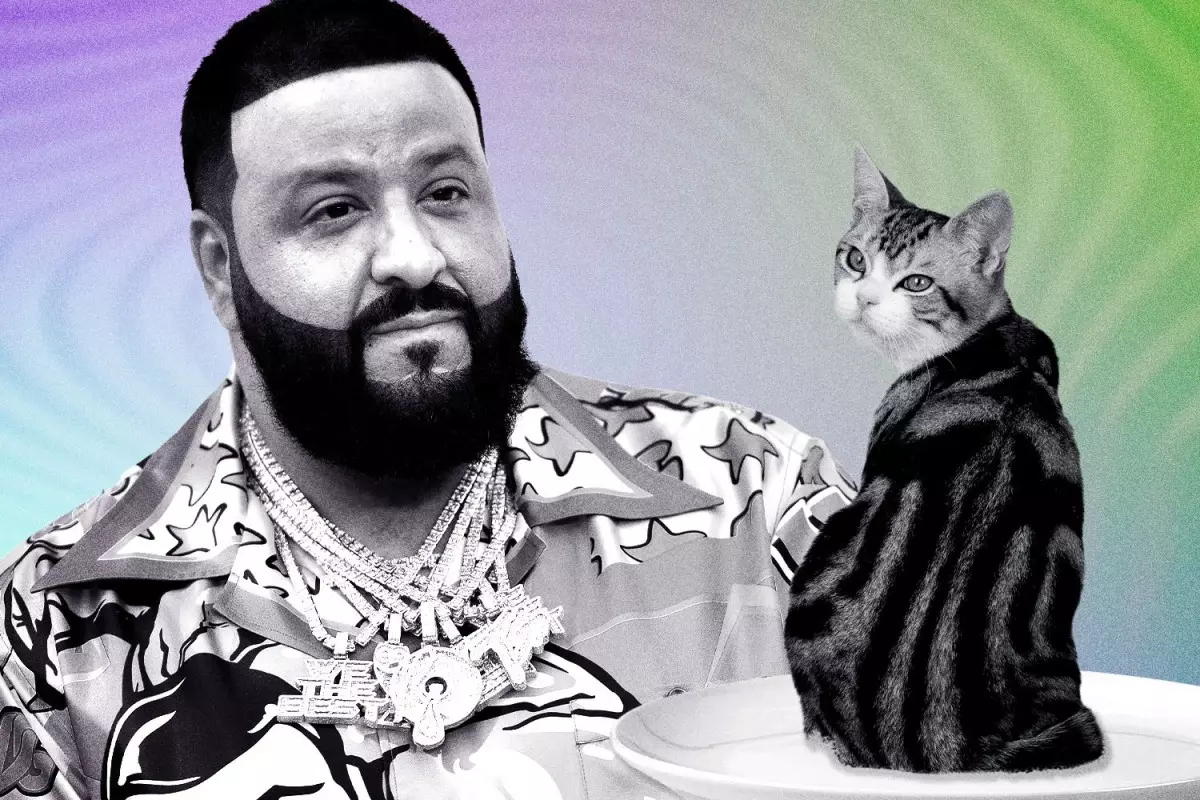 Fọto ti DJ Khaled ati ologbo kan