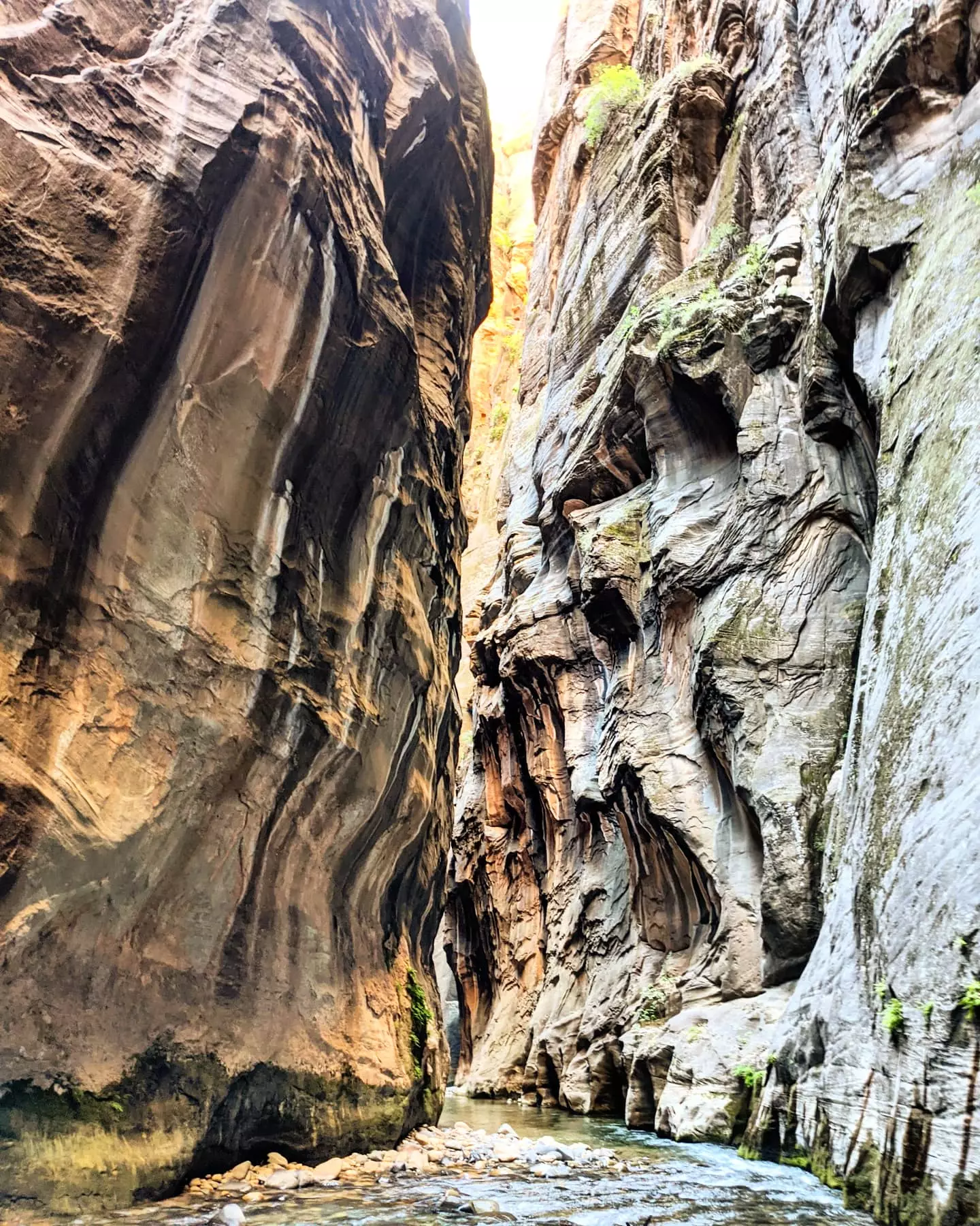 Zion Narrows