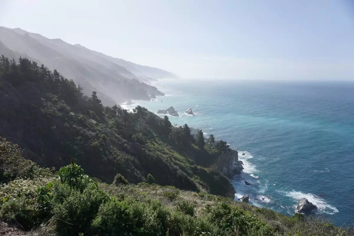 Naha Cryptids Bersembunyi di Leuweung Big Sur?