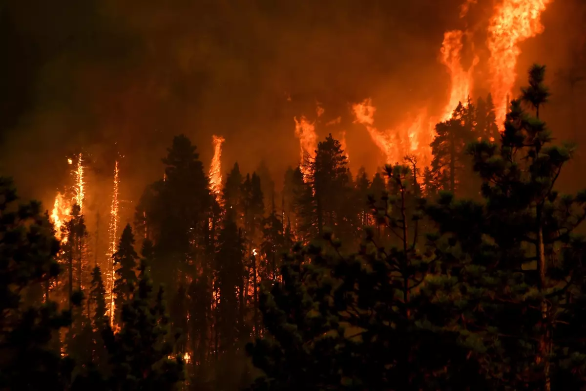 Pasangan Nyanghareupan kamungkinan waktos panjara pikeun Wildfire-Mimitian Gender nembongkeun Partéi