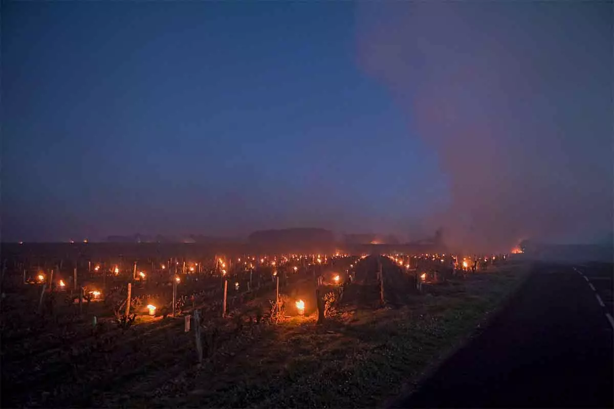 Tato fotografie pořízená za úsvitu 7. dubna 2021 ukazuje ohně zapálené ve vinicích, aby je chránily před mrazem v srdci vinice Vouvray v Touraine.