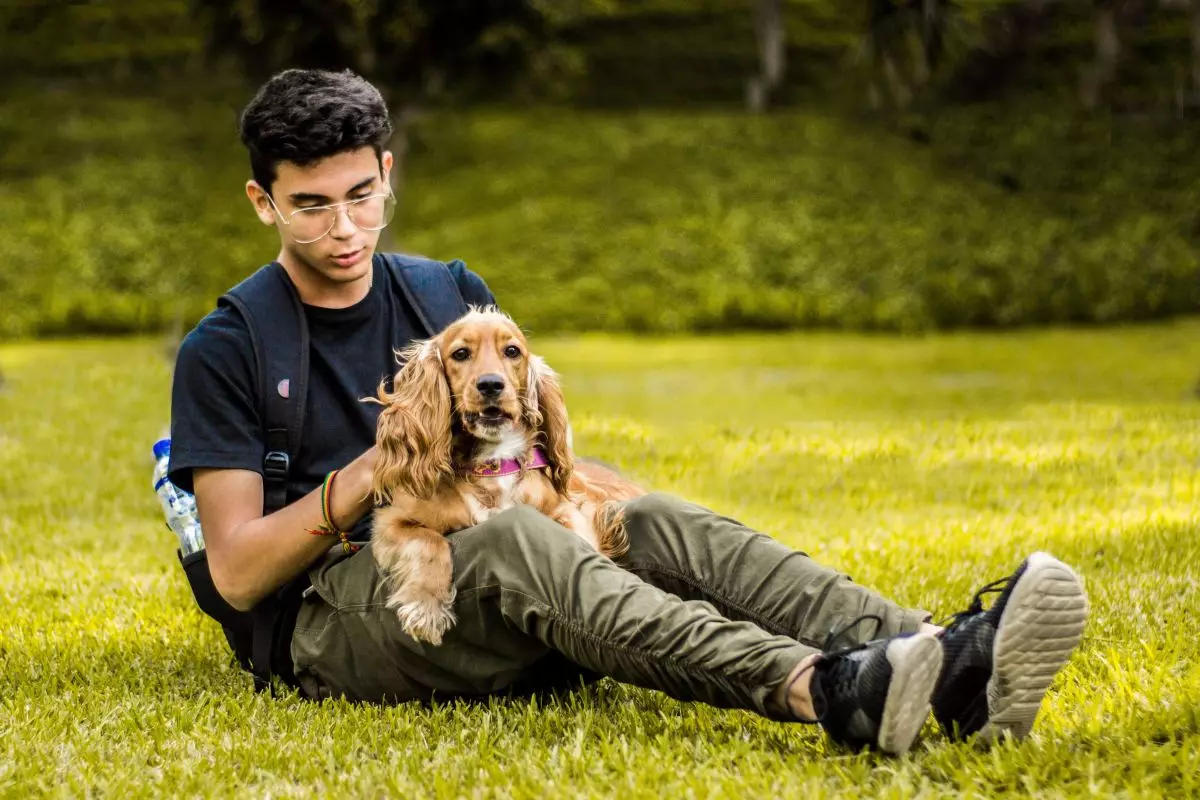 Las personas fingen tener perros para obtener más coincidencias en las aplicaciones de citas