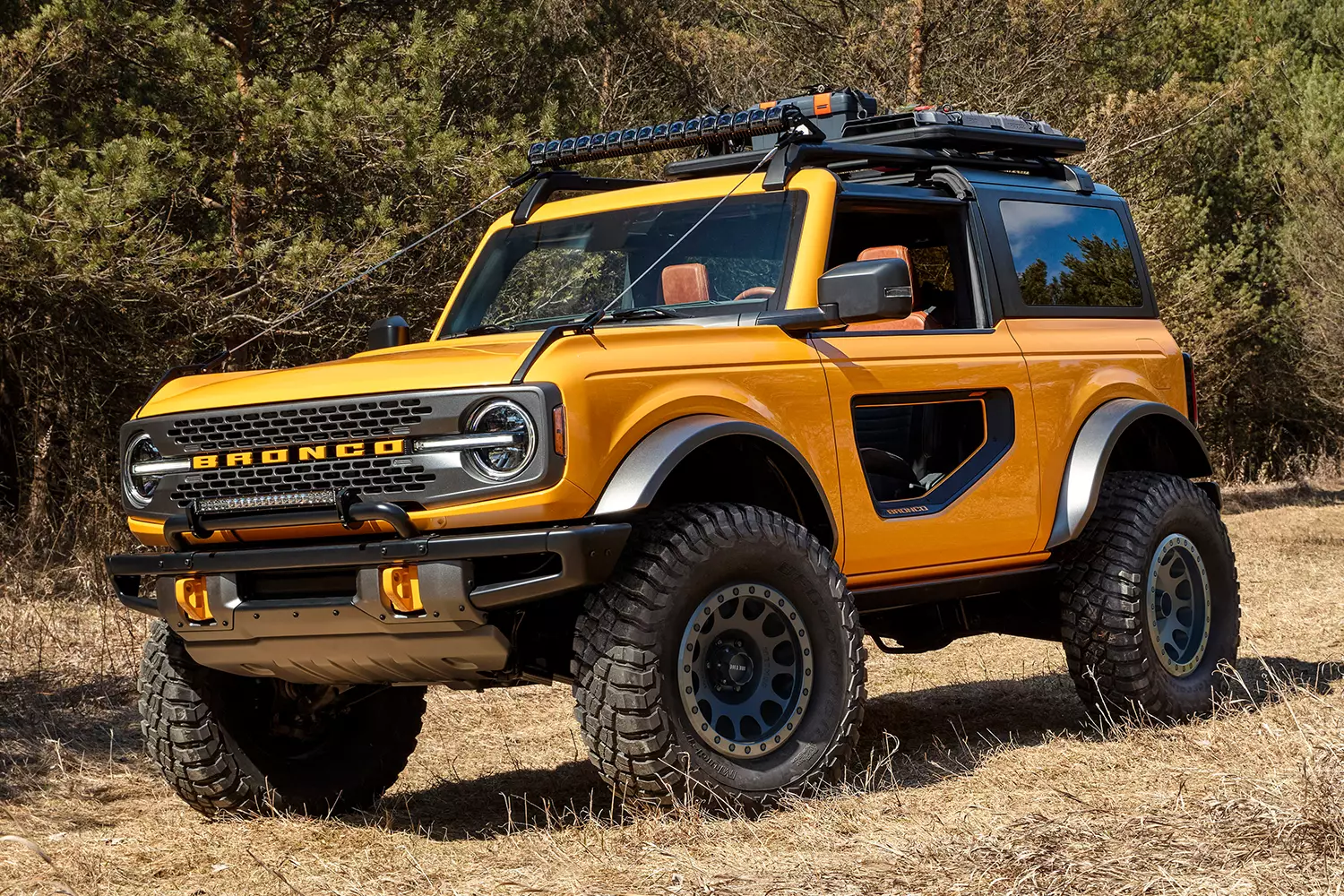 Ford Bronco SUV ใหม่ 2 ประตู มีช่องเจาะ และงานสี Cyber Orange นั่งนิ่งอยู่ในหญ้าแห้งที่มีพื้นที่ป่าเป็นพื้นหลัง