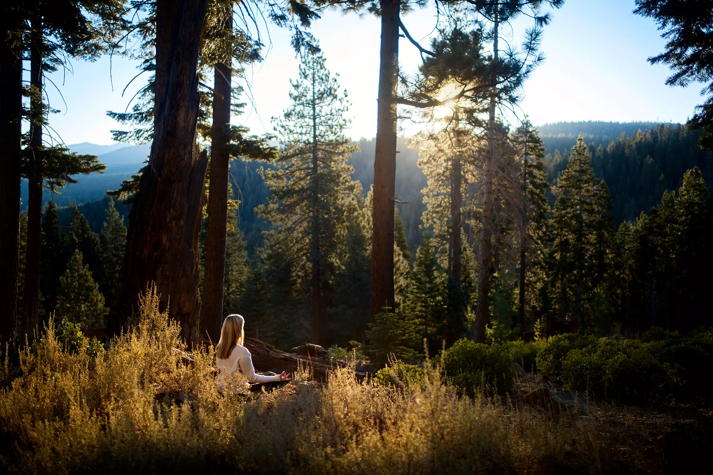 Het groen rondom het Ritz Carlton in Lake Tahoe.