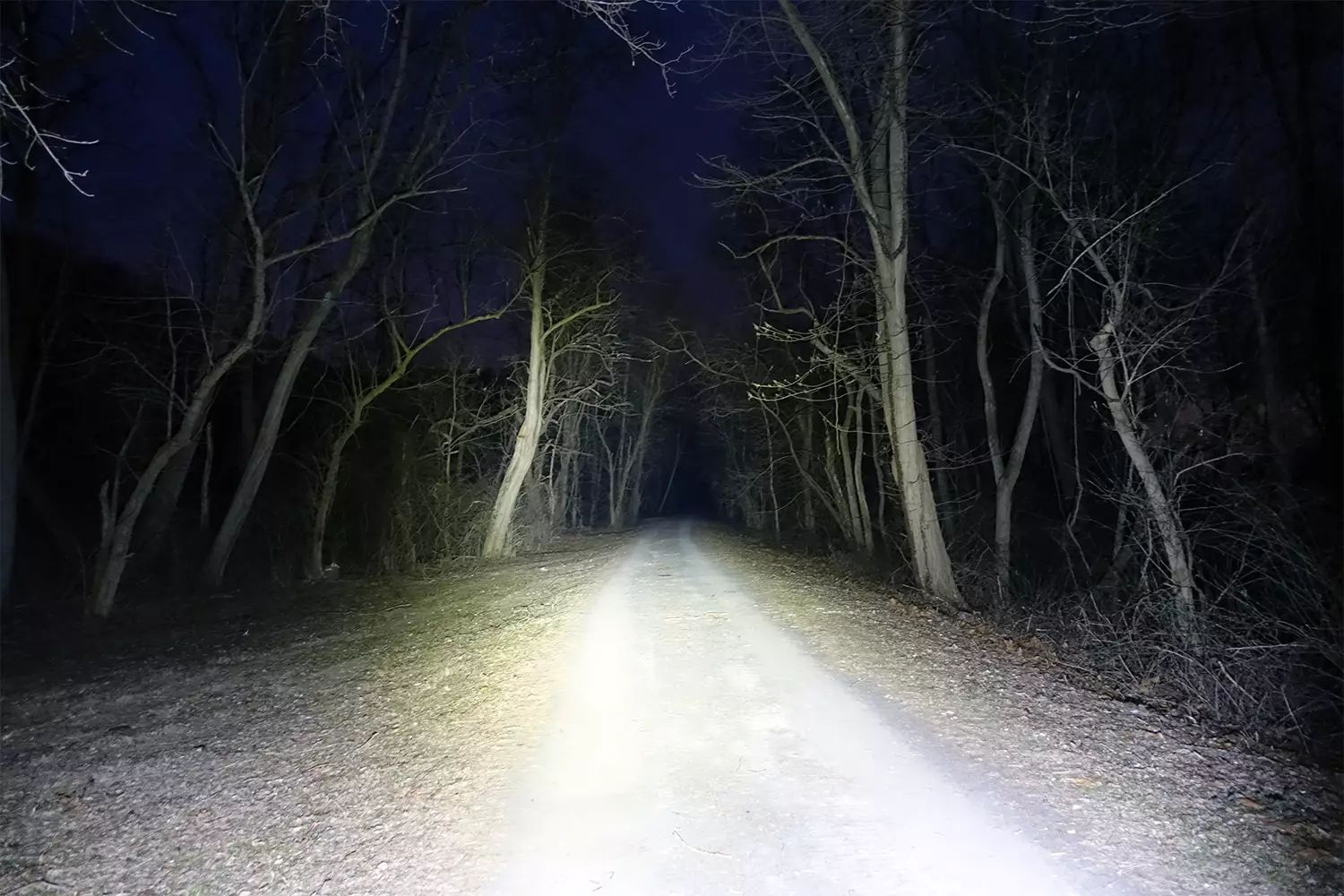 Trail Running at Night Is de Ultimate Meditative Fitness Activity 4589_2