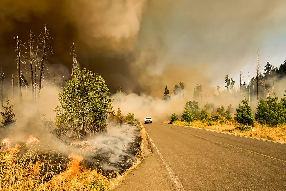 Jones Fire, Hutan Nasional Willamette, Lowell, Oregon