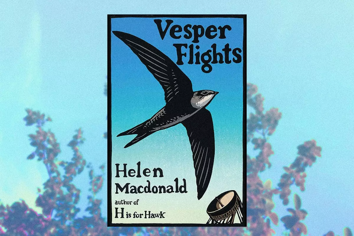 kelab buku penerbangan vesper