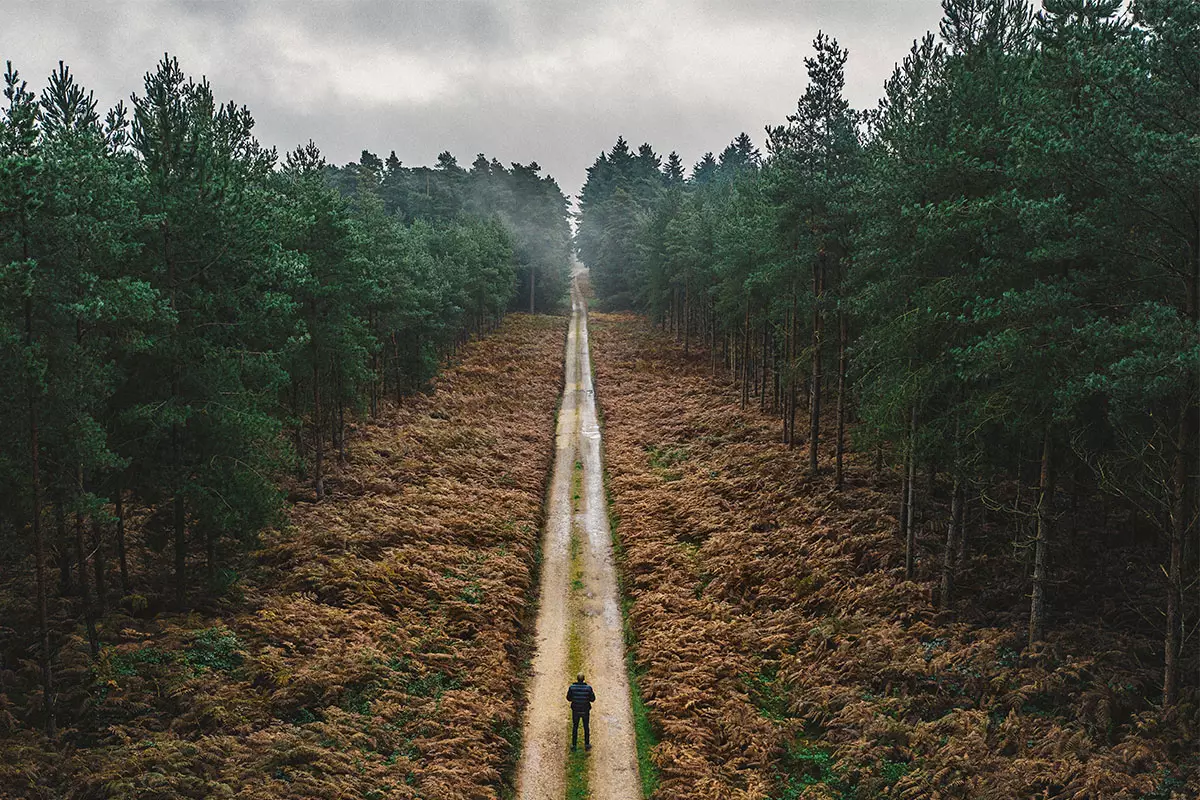 Un hombre camina solo por un sendero a través del bosque.