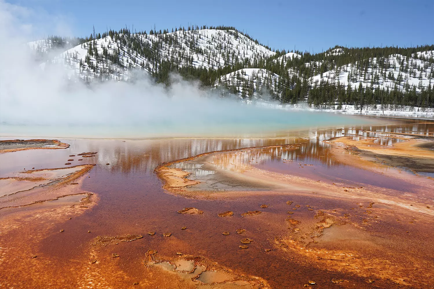 Beerta Qaranka ee Yellowstone