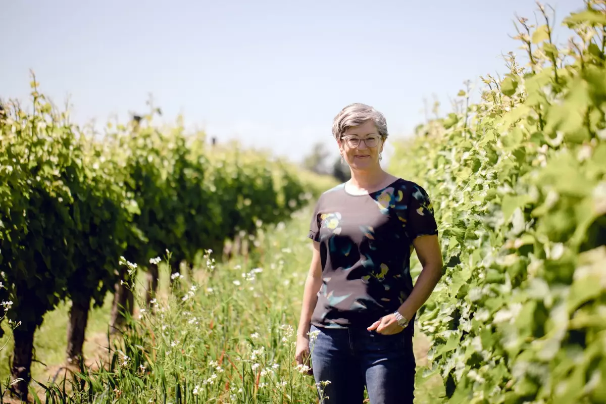 Nhà sản xuất rượu xuất sắc nhất năm 2021 của New Zealand Jules Taylor trong những vườn nho ở Marlborough của cô ấy
