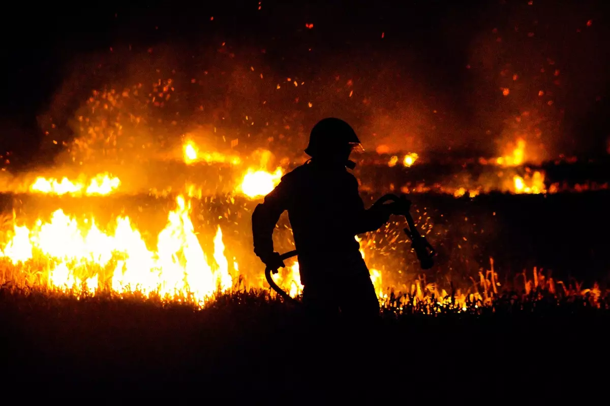 Geus Waktosna Pikeun Ngalarang Campfires Salamina?