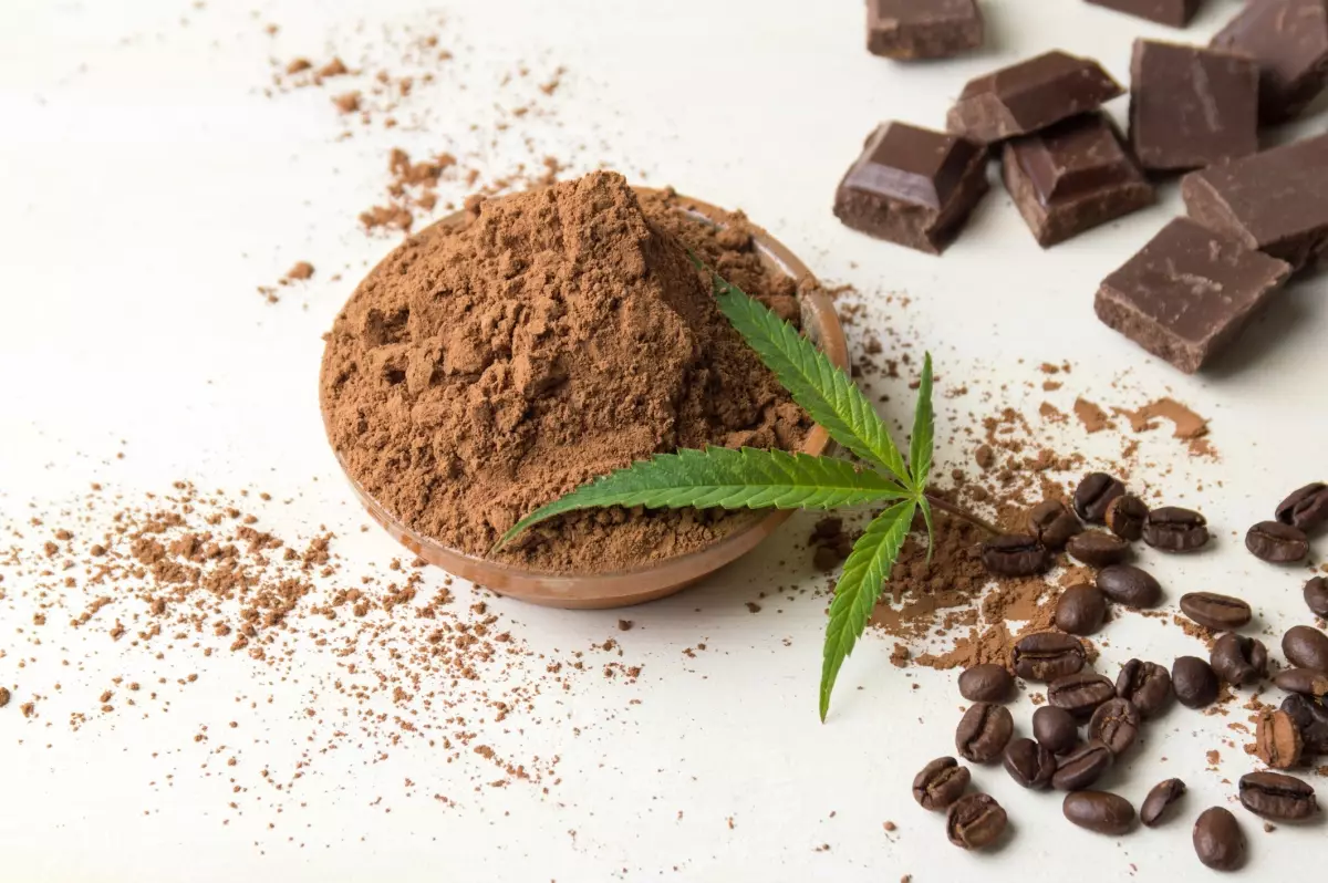 Kakaó egy tálban csokoládédarabokkal és marihuánalevéllel (Getty)