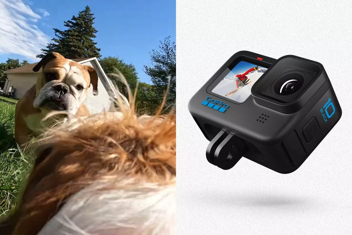 Anu Kuring Diajar Ngeunaan GoPro Anyar Saatos Dipasangkeun ka Anjing Kuring