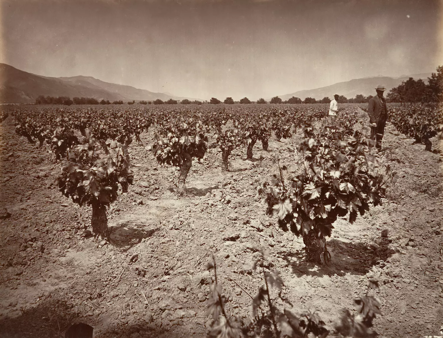 Gonar inabin Camulos Ranch a cikin gundumar Ventura, c. 1876