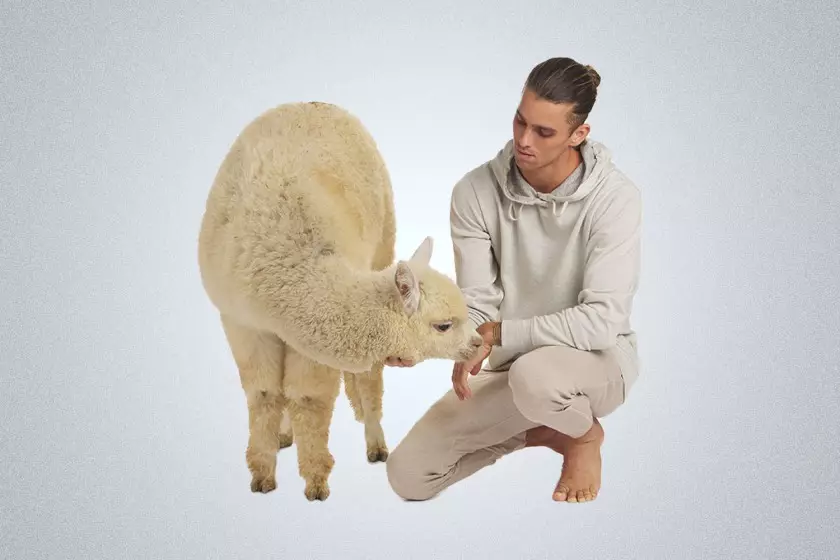 un model al costat d'una alpaca