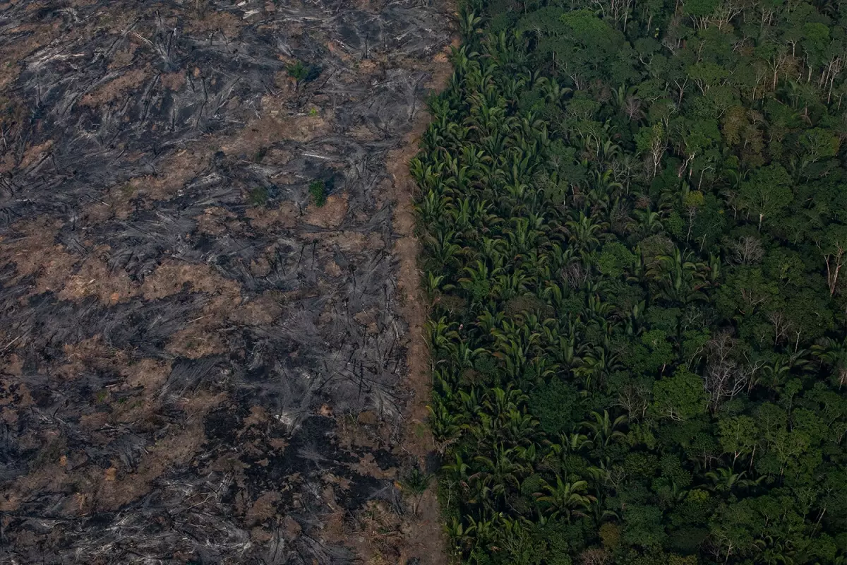 En flygbild av bränd Amazonas regnskog i den brasilianska delstaten Rondônia 2019